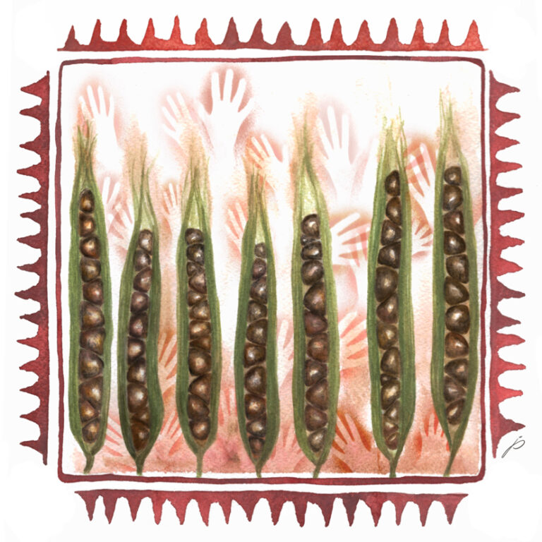 Teocintle, la pieza de Iara Chapuis para Milpa Gráfica