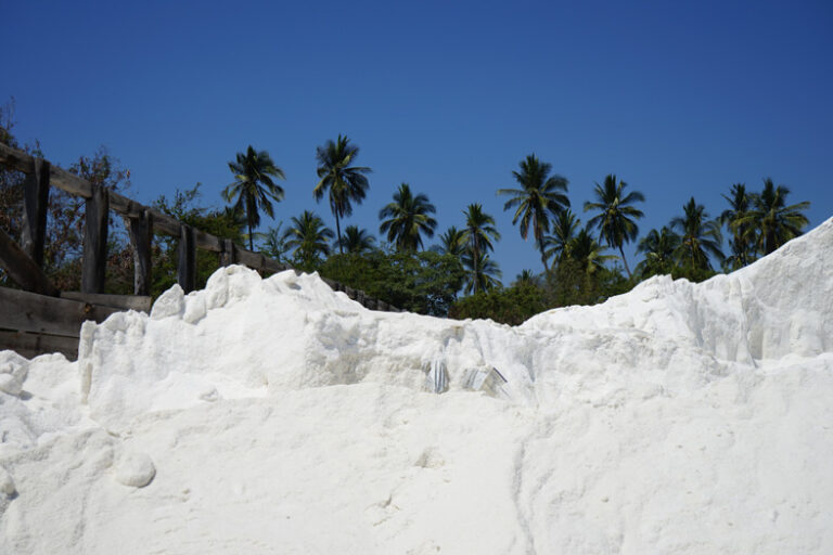 Colima, pequeña y enorme: un recorrido por la región colimota